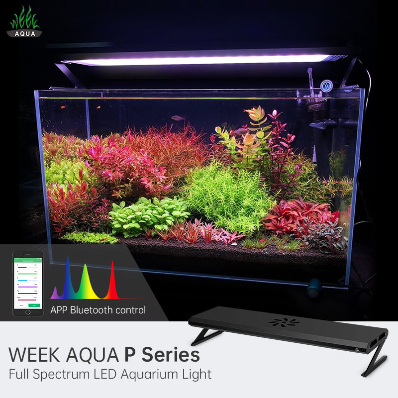 WEEK AQUA P Series Version 3 - Latest Model – Aqua Rocks Colorado