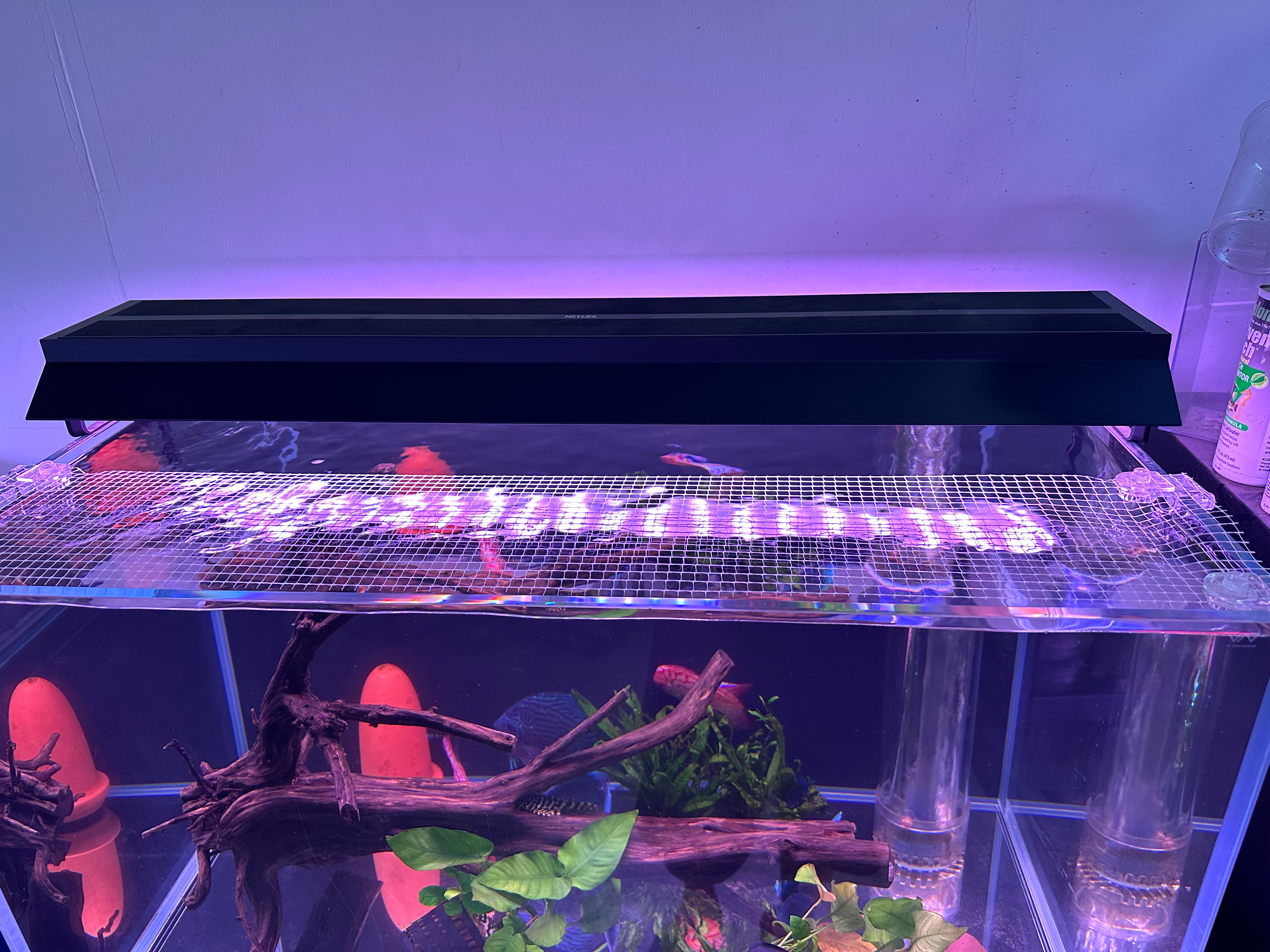 Netlea AT5S Shades Only – Aqua Rocks Colorado