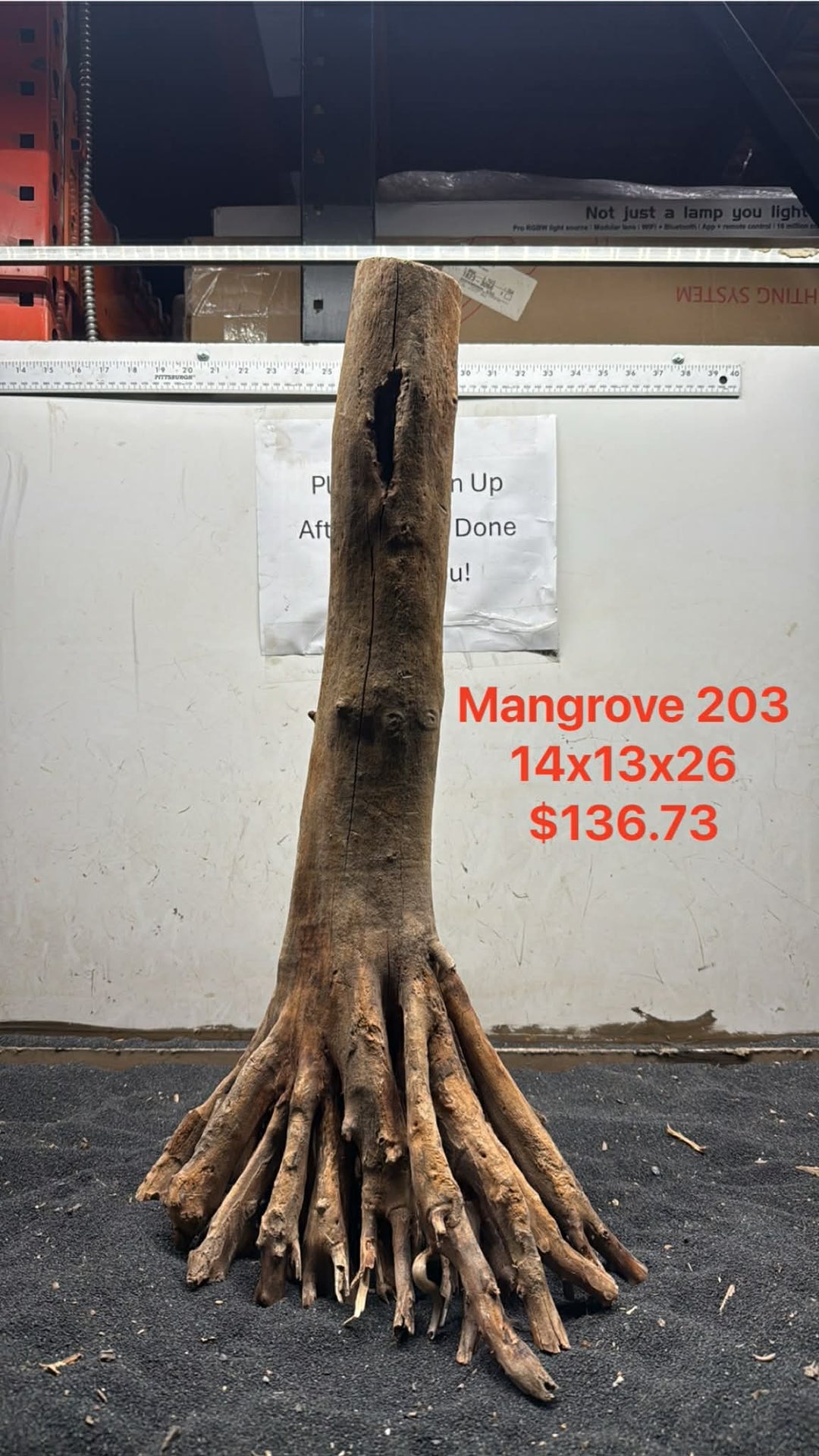 Mangrove Tree Stump 203 – Aqua Rocks Colorado