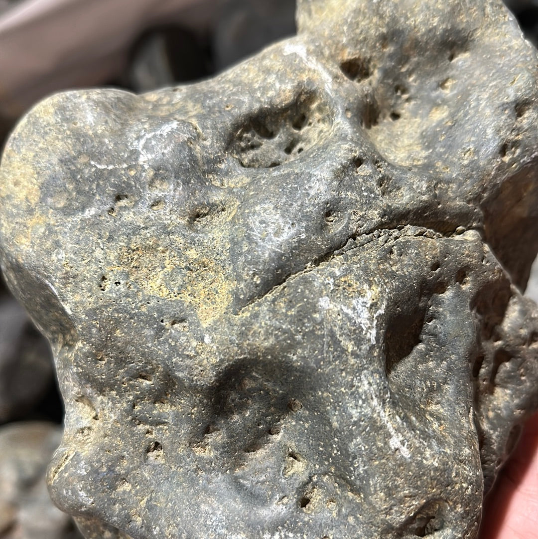 Hakkai Stone – Aqua Rocks Colorado